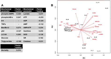 a analytical table of the contribution of biochemical parameters download scientific diagram