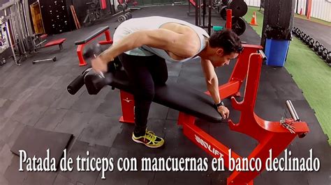 Patada De Triceps Con Mancuernas En Banco Declinado Youtube