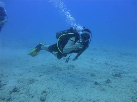 Scuba Diving Scuba Diving