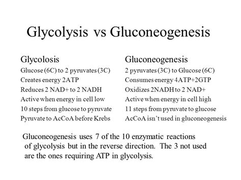 Gluconeogenesis Vs Glycolysis