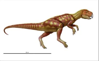 Médias de PSITTACOSAURUS Encyclopædia Universalis