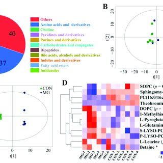 Serum Metabolite Differences With MG Supplementation A Pie Chart Of