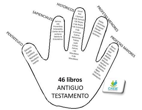 Como Aprender Los Libros De La Biblia En Orden