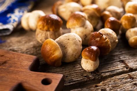 Comment nettoyer des cèpes Préparation et recette Les Jardins D Evea