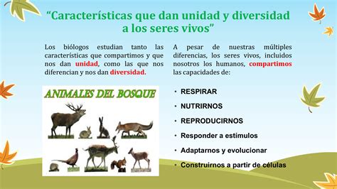 Caracter Sticas De Los Seres Vivos