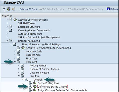 SAP FI Field Status Variant And Field Status Group
