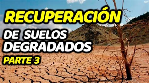 RECUPERACION DE SUELOS DEGRADADOS PARTE 3 YouTube