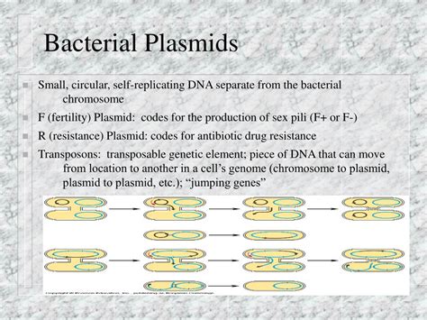 Ppt Chapter Microbial Models The Genetics Of Viruses And