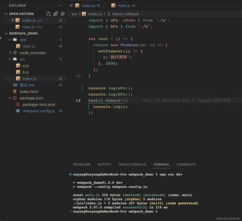 webpack编译打包and从入门到放弃 nodemodules里面的包会被打包进入dist吗 csdn博客