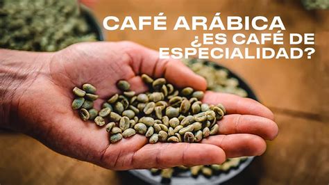 Café de Especialidad Diferencias Qué lo hace único flat white