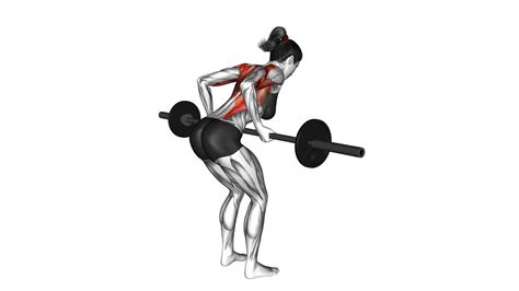Female Barbell Reverse Grip Bent Over Row Video Guide And Tips