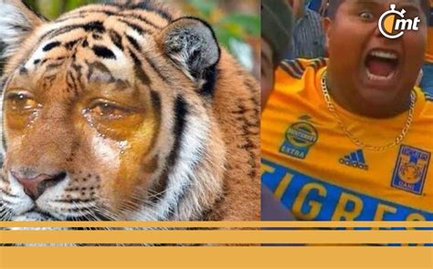 Los mejores memes del Clásico Regio 136 entre Tigres y Rayados Mediotiempo