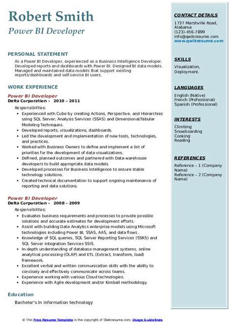 Power Bi Developer Resume 3 Bi Developer Resume Examples How To Guide