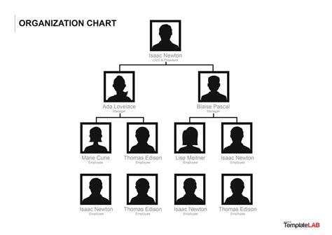 Organizational Chart Templates Word Excel Powerpoint Psd With