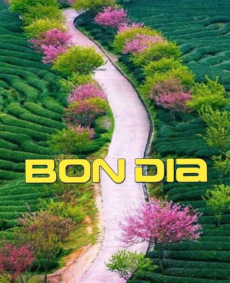 Pin de Pilar Castaño en Bon dia Carteles de buenos dias Fotos buenos