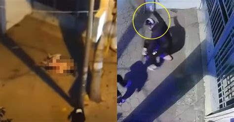 Nguyên nhân ban đầu vụ cô gái bị người yêu cũ đâm nhiều nhát tử vong ở