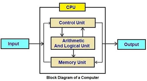 informatics practices class 11 chapter 1 ncert solution computer system cs ip learning hub