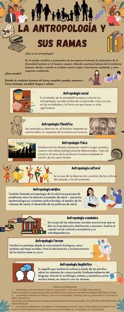 Infografía Antropología y sus ramas Adriana Beatle uDocz