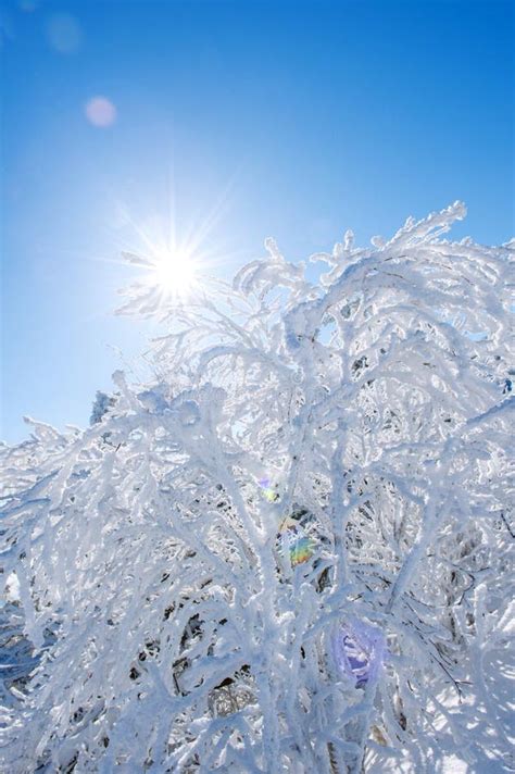 Seoraksan Mountains Is Covered By Morning Fog In Winter Stock Image