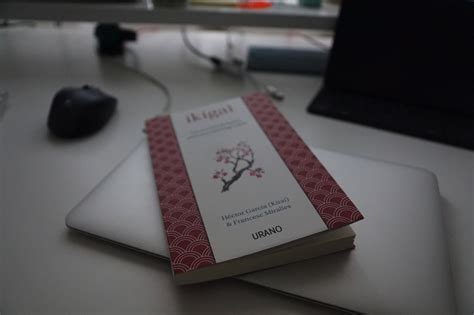 Ikigai Los secretos de Japón para una vida larga y feliz Idle in