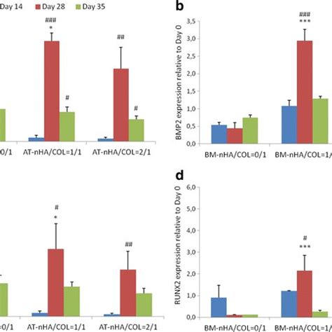 Gene Expression Profiles Of Bmp And Runx A Gene Expression Of Bmp