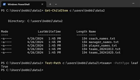 PowerShell How To Use Test Path With Wildcard Characters Collecting