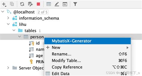 idea插件之mybatisx 插件使用教程 张生荣