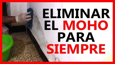 Como Quitar El Moho De Pared F Cilmente Y Olvidarse En Como