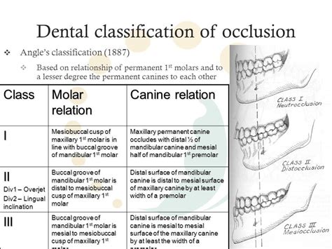 Dental Jokes Dental Hygienist School Dentistry Student
