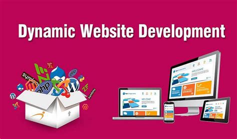 dynamic website development win infosoft
