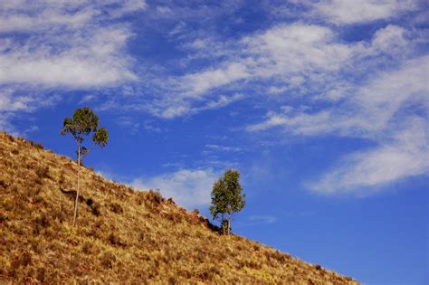 Fotos gratis paisaje árbol césped arena horizonte montaña nube