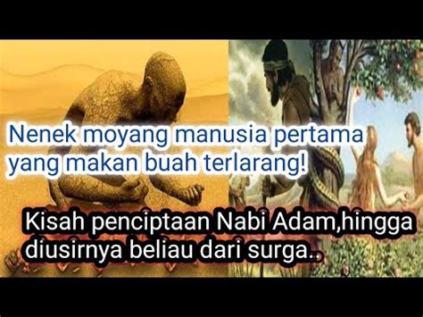 Kisah Penciptaan Nabi Adam As Hingga Diturunkan Ke Bumi