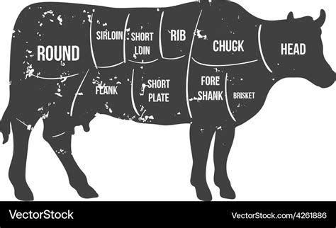 Diagram Of A Cow Meat Cuts All About Cow Photos