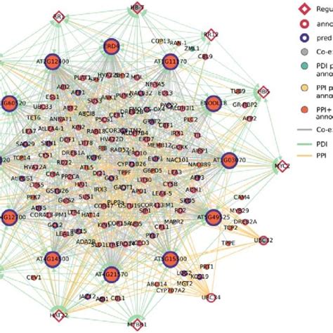pdf multi omics network based functional annotation of unknown arabidopsis genes