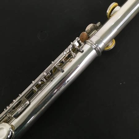 やや傷や汚れありHaynes Flute 8765 フルート ケース付 中古Y7068750の落札情報詳細 ヤフオク落札価格検索 オークフリー
