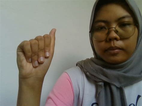 how to use the sibi sign language statis object detection api