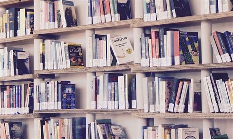 30 Libros Que Debes Leer Gratis PDF InfoLibros Org