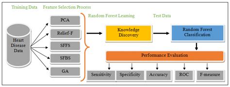 random forest combined with feature selection algorithms for download scientific diagram