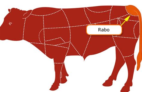 Rabo de Toro Qué Parte es en 2023
