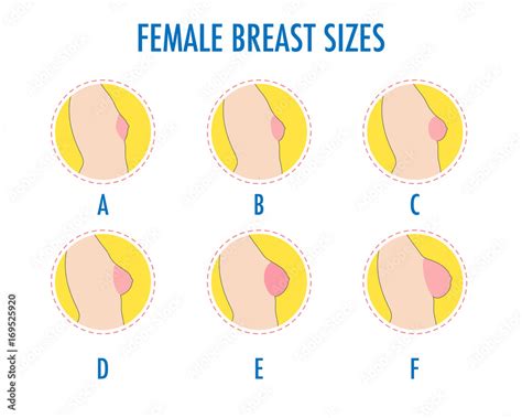 Set Of Round Line Icons Of Different Female Breast Size Body Side View