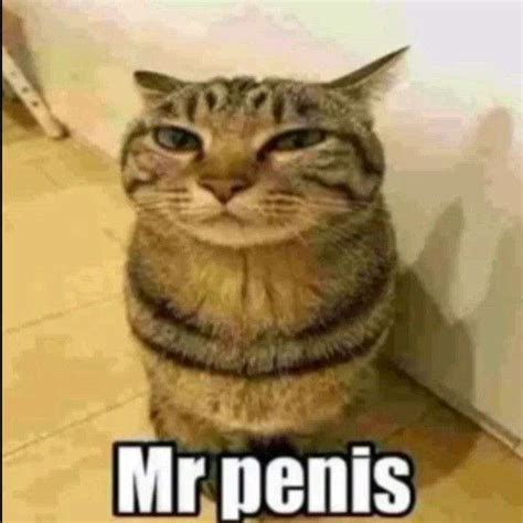 Mr Penis Online Puzzle