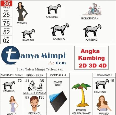 40 Mimpi Ketemu Orang Gila Togel SUMBER TAFSIR 2023