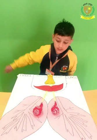 Project Lungs Functioning Explained By Laksh Of UKG Grade Sandeepni