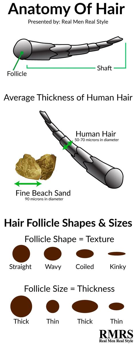 How To Brush Your Hair Correctly Hair Brush Hair Type Chart Hair Quotes