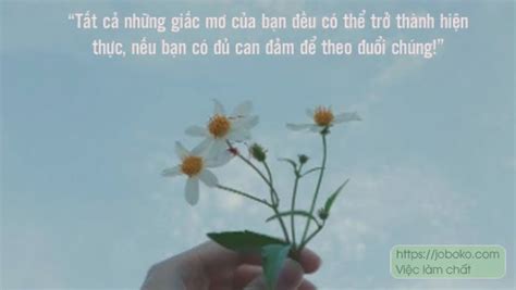 Những câu nói hay về ước mơ STT nói về ước mơ hoài bão Nền tảng