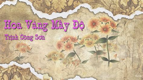 Karaoke Hoa vàng mấy độ Trịnh Công Sơn Tone Nữ YouTube