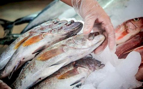 Conoce cómo reconocer un pescado fresco en este verano Walac Noticias