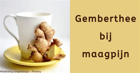 Gemberthee Bij Maagpijn Evendelen Be