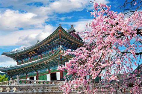 As Melhores Cidades Para Conhecer Na Coreia Do Sul Descubra As