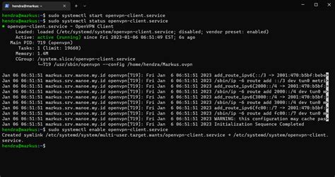 menghubungkan ke openvpn client di ubuntu 20 04 natvps id